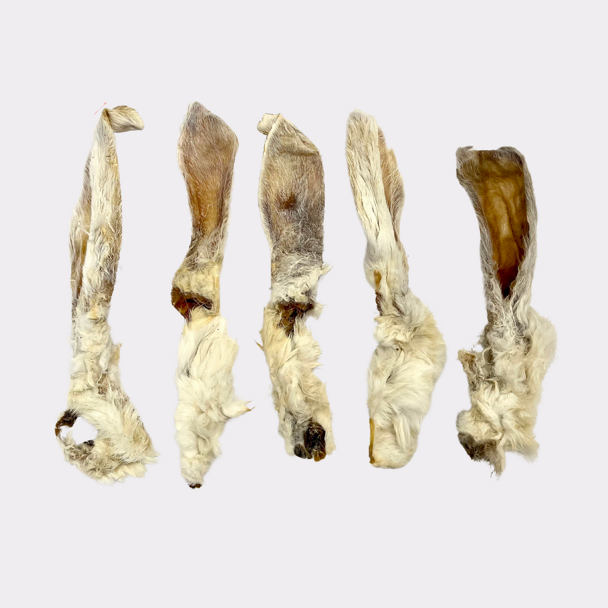 Natural Rabbit Ears Chews with Fur for Dogs - 100% Pure and Healthy Tr ...
