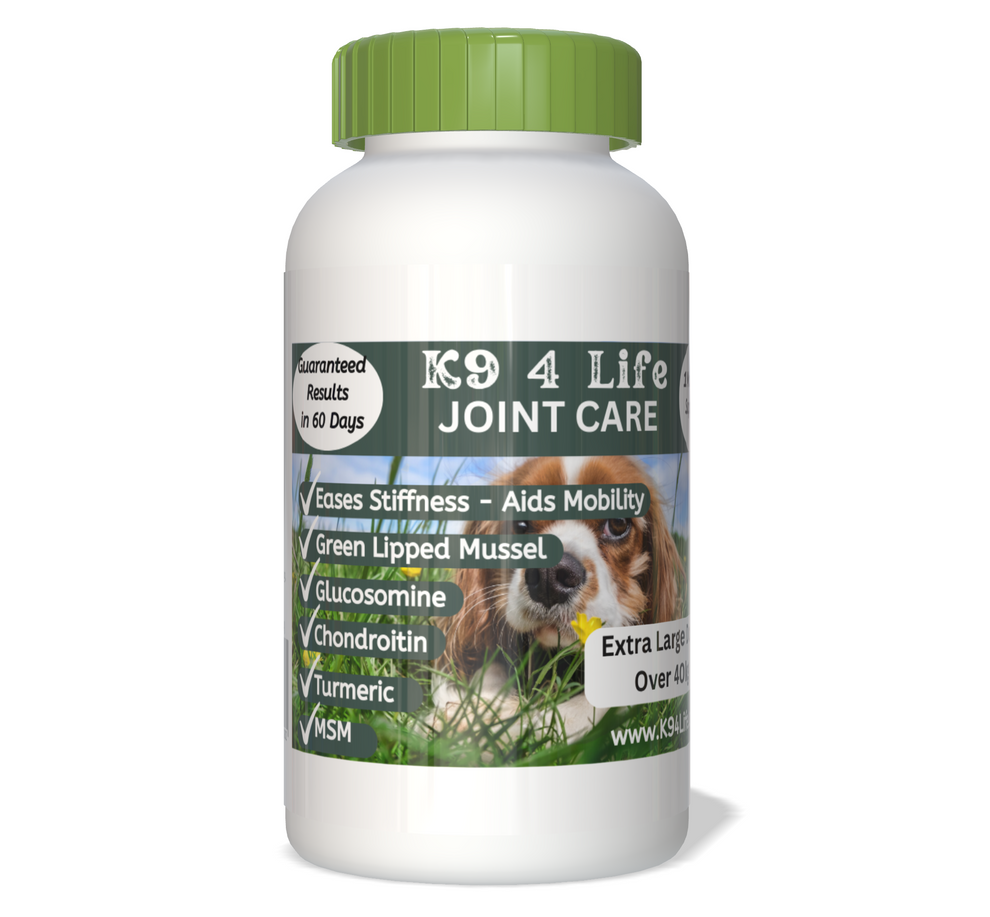 Power Plus Joint Care Supplement for Extra Large Dogs. Eases Stiff Joi ...